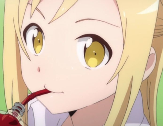 Hikari Takanashi Interviews With Monster Girls Hikari Monster Girl