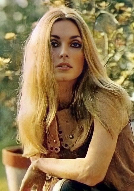 Pin By Lucy Ridolphi On Sharon Tate Sharon Tate Pictures Lady Gaga Pictures Sharon Tate
