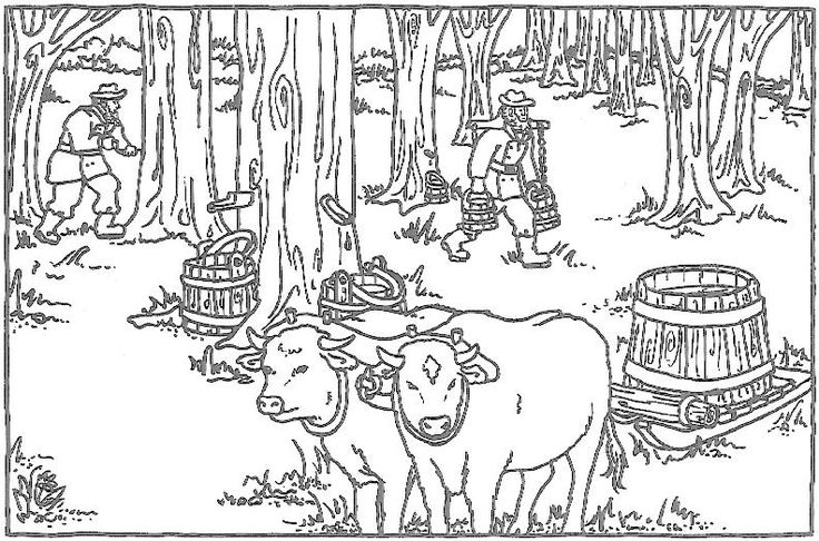 Indiana Pure Maple Syrupannual Maple Syrup Festival Maple Syrup Pure Maple Syrup Pure Products