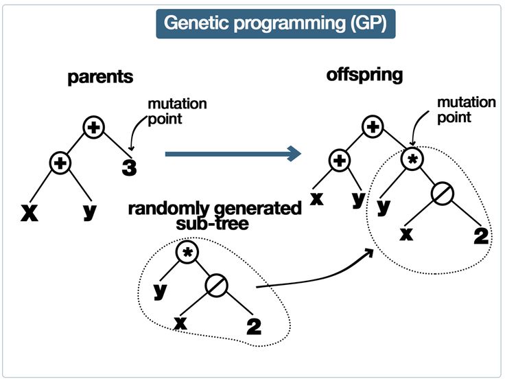 Genetic Programming Gp Visual Illustrated Words Genetics Algorithm