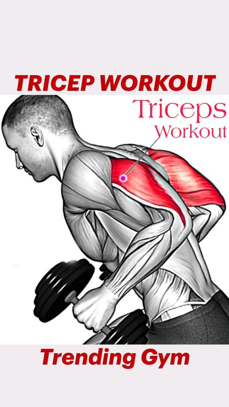 Tricep Workout Trending Gym Triceps Workout Tricep Workout Gym Bicep And Tricep Workout