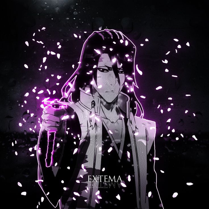Bleach Kuchiki Byakuya