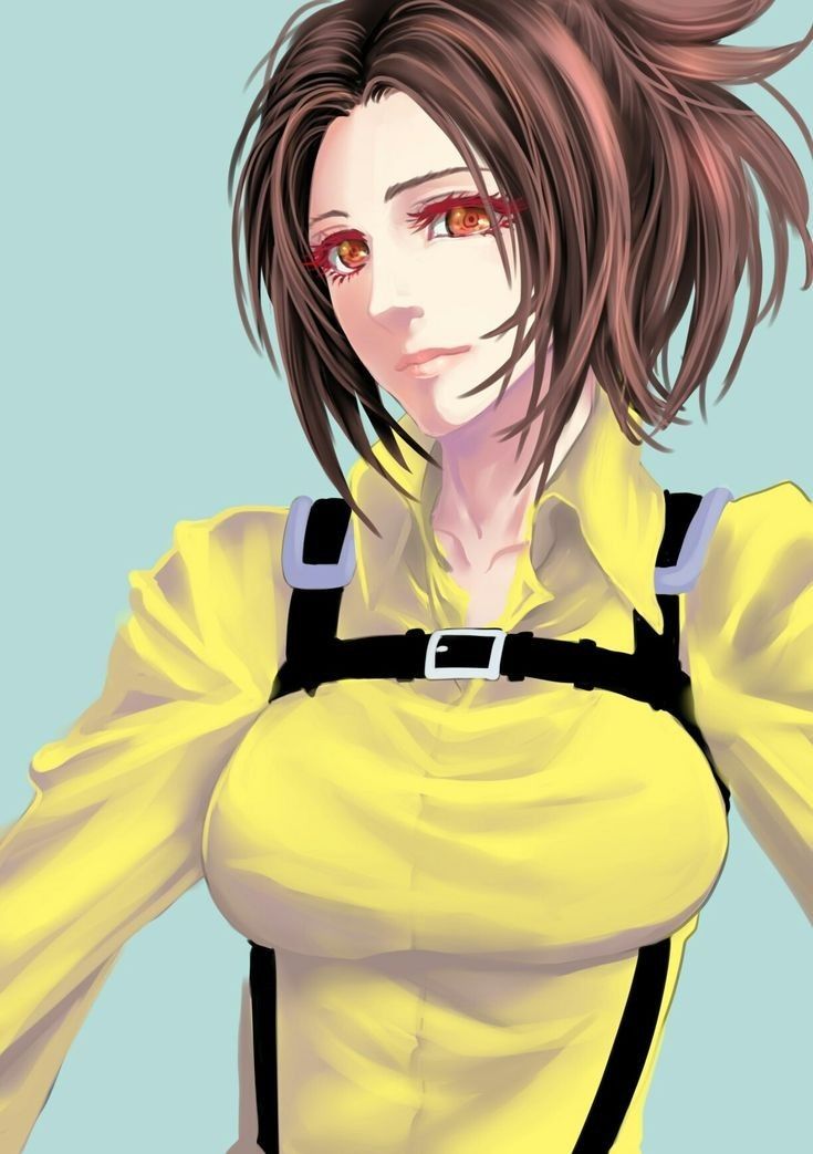 Hanji Zoe Best Waifu Hanji Attack On Titan Attack On Titan