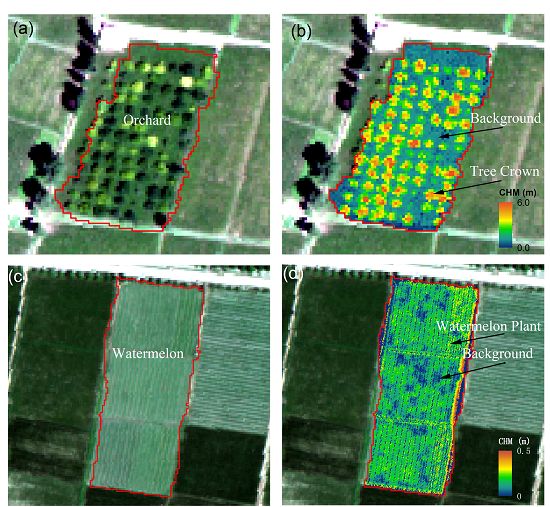 Object-Based Crop Species Classification Based on the Combination of ... Object-Based Crop Species Classification Based on the Combination of ...