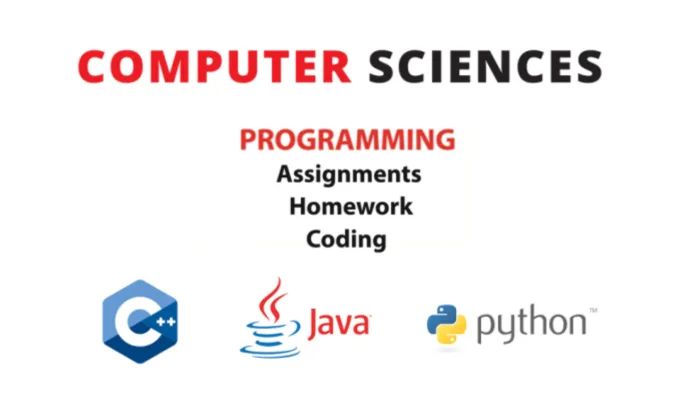 Computer Science Assignment And Programming Task