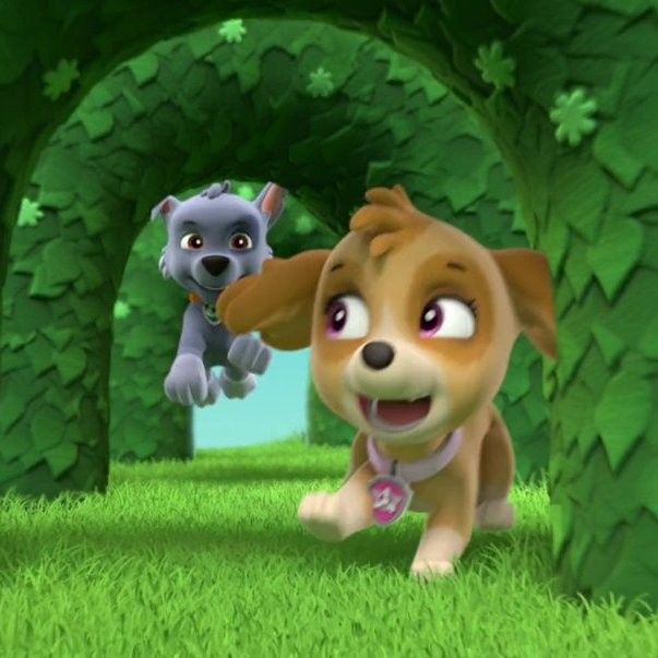 Pin By Raquel Panarello On Paw Patrol Fur Ever Skye Paw Patrol Sky Paw Patrol Paw Patrol