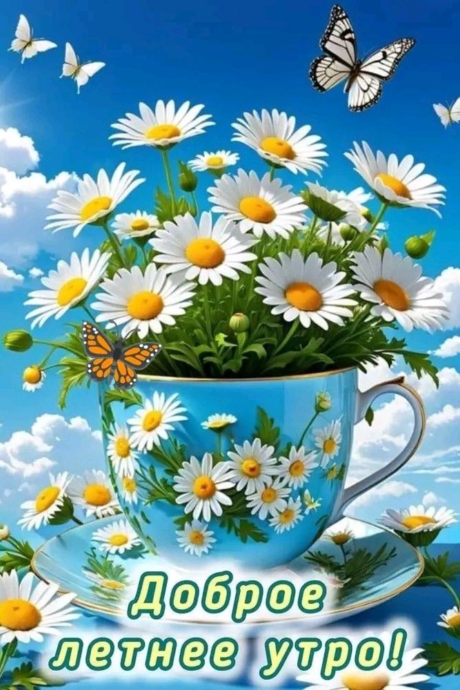 Пин от пользователя Пинер на доске ЛЕТО 2 🌈🦋🌺🐦🍒 в 2024 г Фоновые рисунки телефона Счастливые
