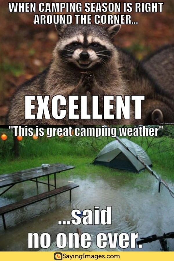 Pin On Pinterests Funniest Memes