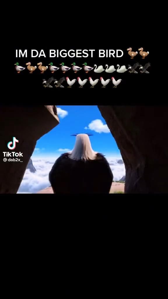 Im Da Biggest Bird 🦅 🦅🦅🦜🐥🐥🦢🦢🦤🦤🦩🦩🕊️ Video Really Funny Pictures Internet Funny Crazy Funny