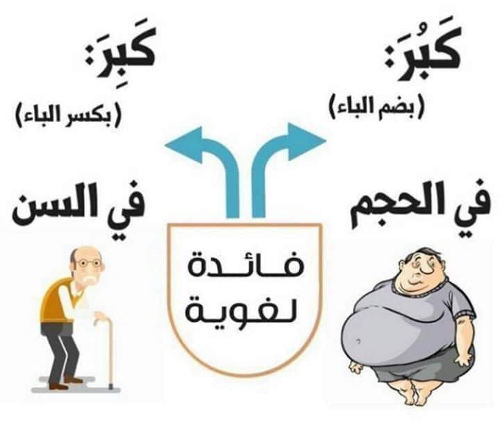 Pin By Essam Sayed Mohamed On لغة الضاد Learn Arabic Language Learn