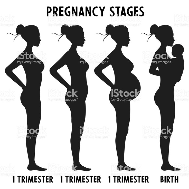 Stages Of Pregnancy Of The Woman A Profile Full Growth It Is Pregnancy Stages Women