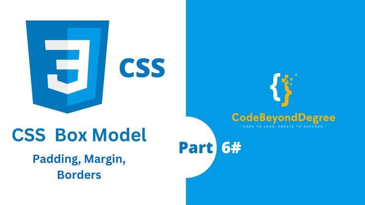 Css Box Model Margin Padding And Borders In Css Css Tutorial In