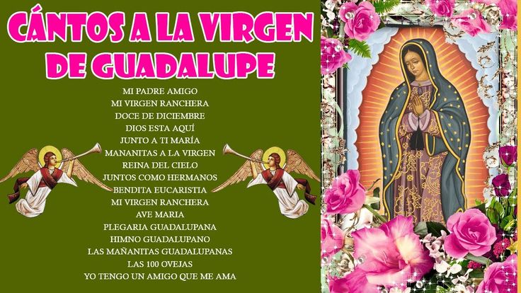 Cantos Para La Virgen De Guadalupe🙏la Virgen De Guadalupe🙏mariachi Cantares De Mexico