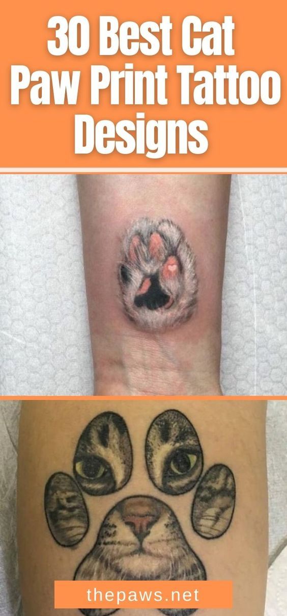The Best Cat Paw Tattoo Designs