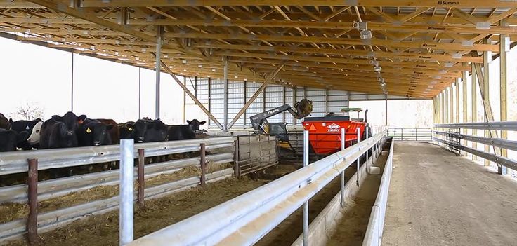 Kent Koger Cattle Barn Cattle Ranching Beef Cattle