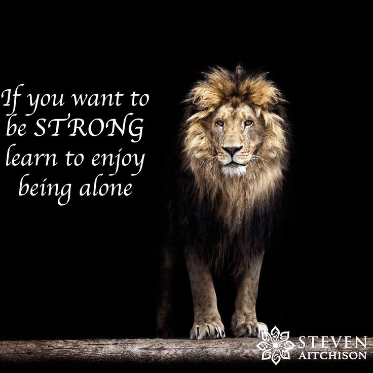 Pin By Shayane Sammy On Struggle With It Lion Quotes Warrior Quotes Badass Quotes
