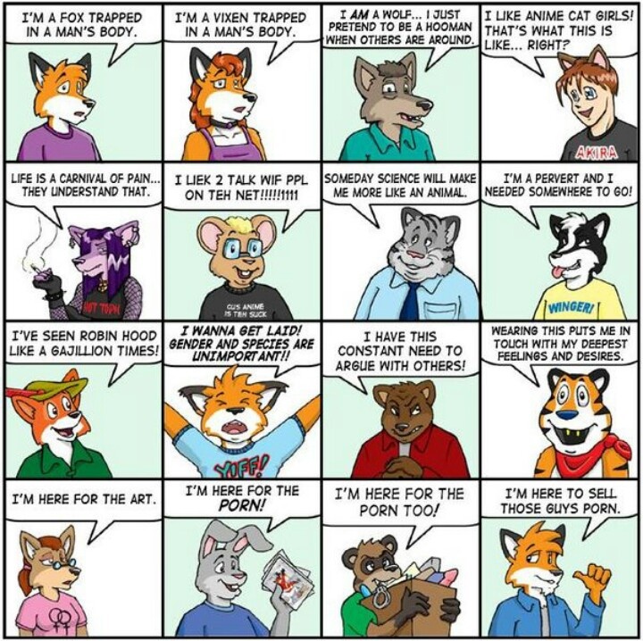 Pin On Gay Furries
