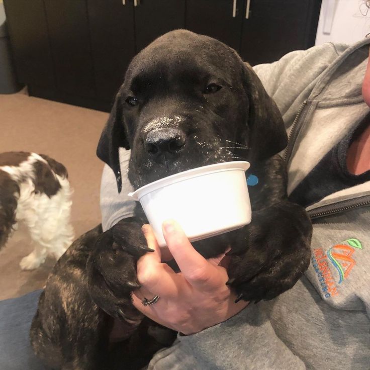 Sometimes I Hold Moms Hand While She Lets Me Lick The Cream Cheese Container