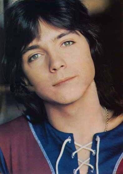 Pin By Lauree Loya On Daydreamer 4 David Cassidy ♥️ David Cassidy Shirley Jones Heartthrob