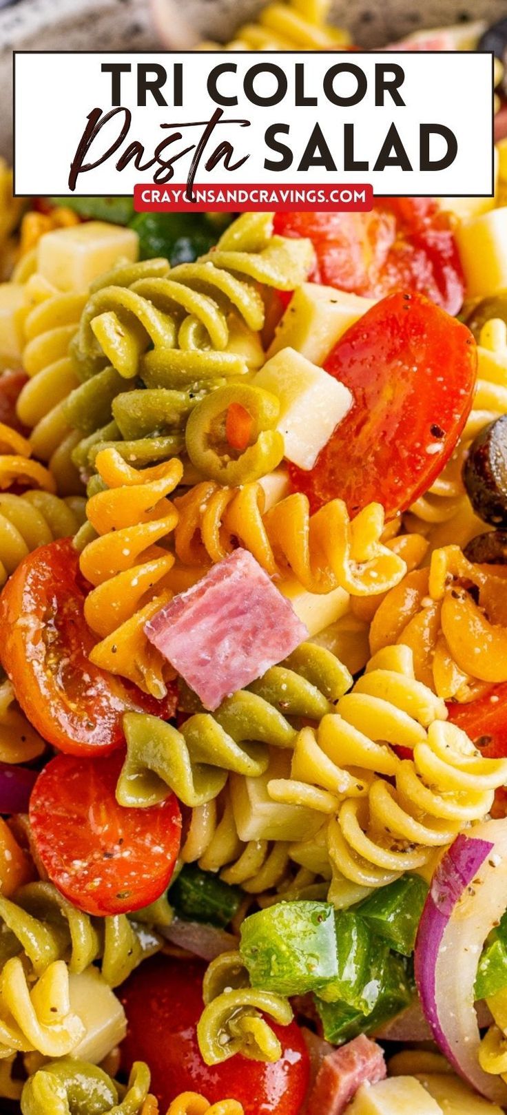 Tri Color Pasta Salad With Homemade Dressing Recipe Tri Color Pasta