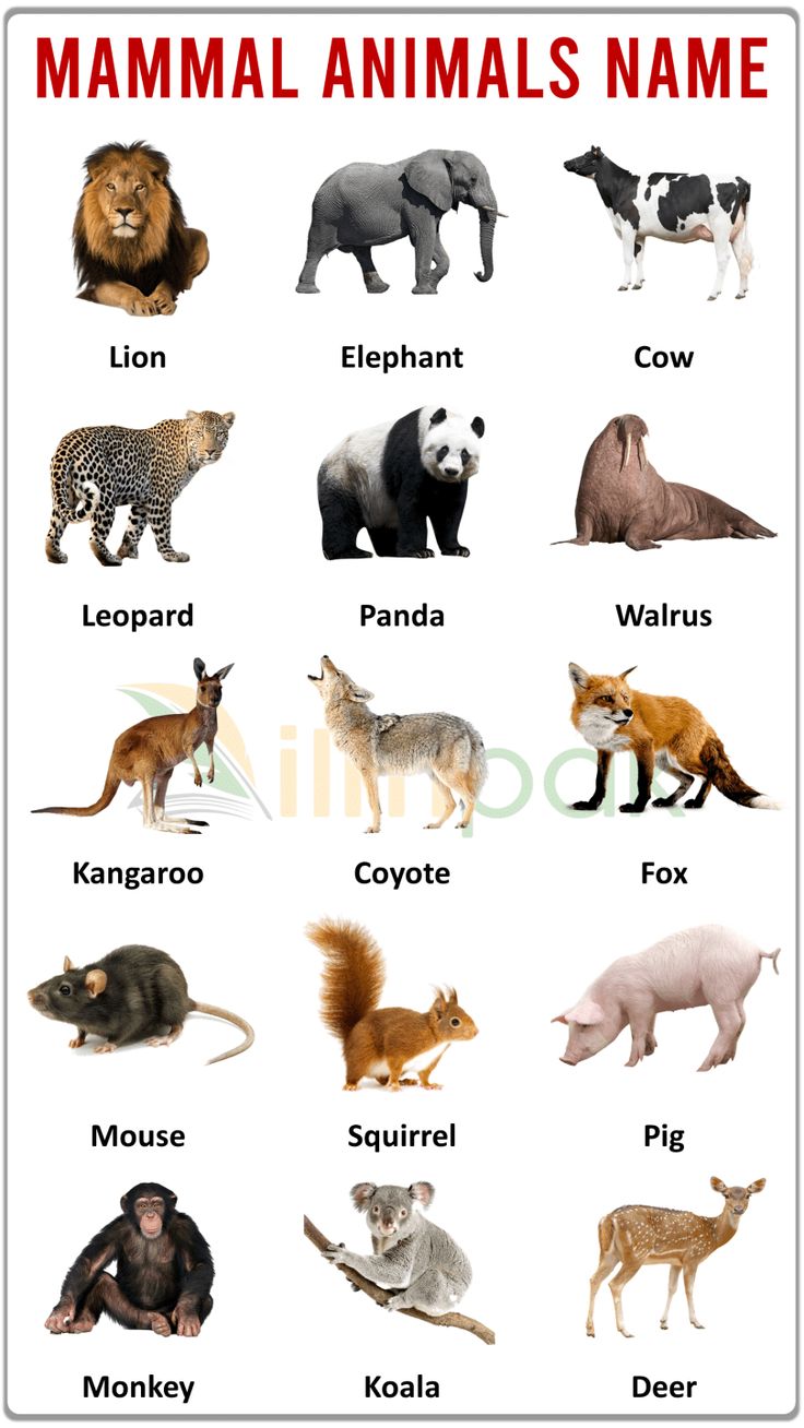 ilmPak | Helping You Learn ilmPak | Helping You Learn
