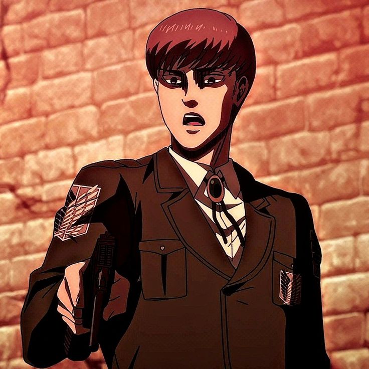 𝑭𝒍𝒐𝒄𝒉 Attack On Titan Aot Characters Black Dragon