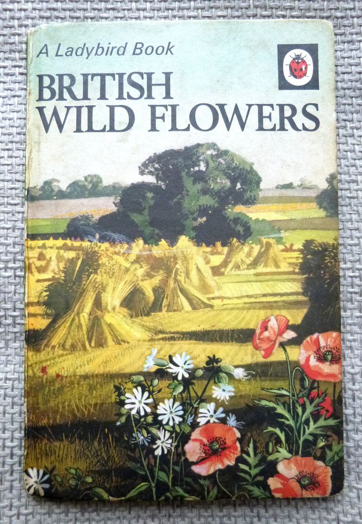 Vintage 1950s Ladybird Book British Wild Flowers Etsy Uk British Wild Flowers Ladybird