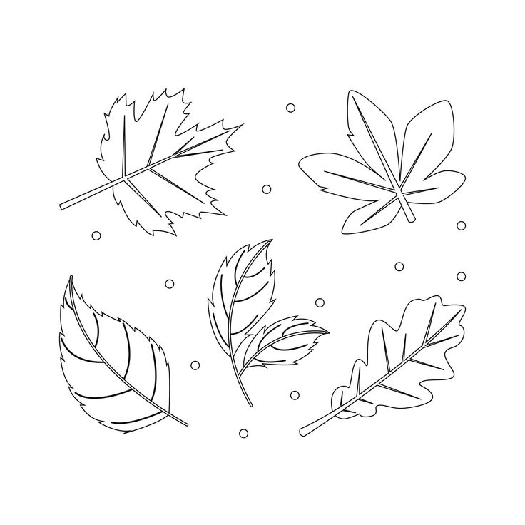 Oak Leaf Stencil 10 Free Pdf Printables Printablee Leaf Stencil Fall Leaves Coloring