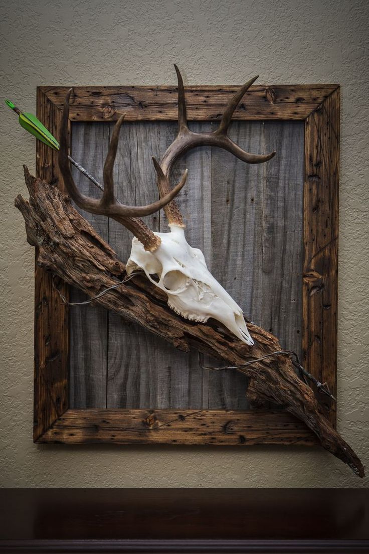21 Best Deer Antler Wall Hanging Shelf Images On Pinterest Deer Deer Antlers And Deer Skulls