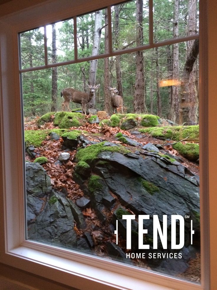 Why not consider adding a picture window? You never know what you could ... Why not consider adding a picture window? You never know what you could ...