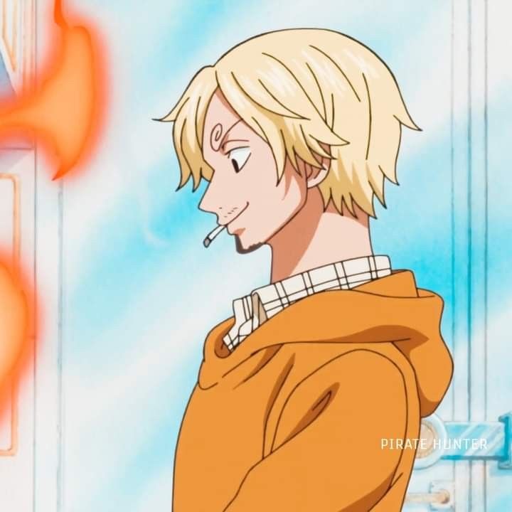 Pin By Aniya On Anime One Piece Pictures Anime Strawhats