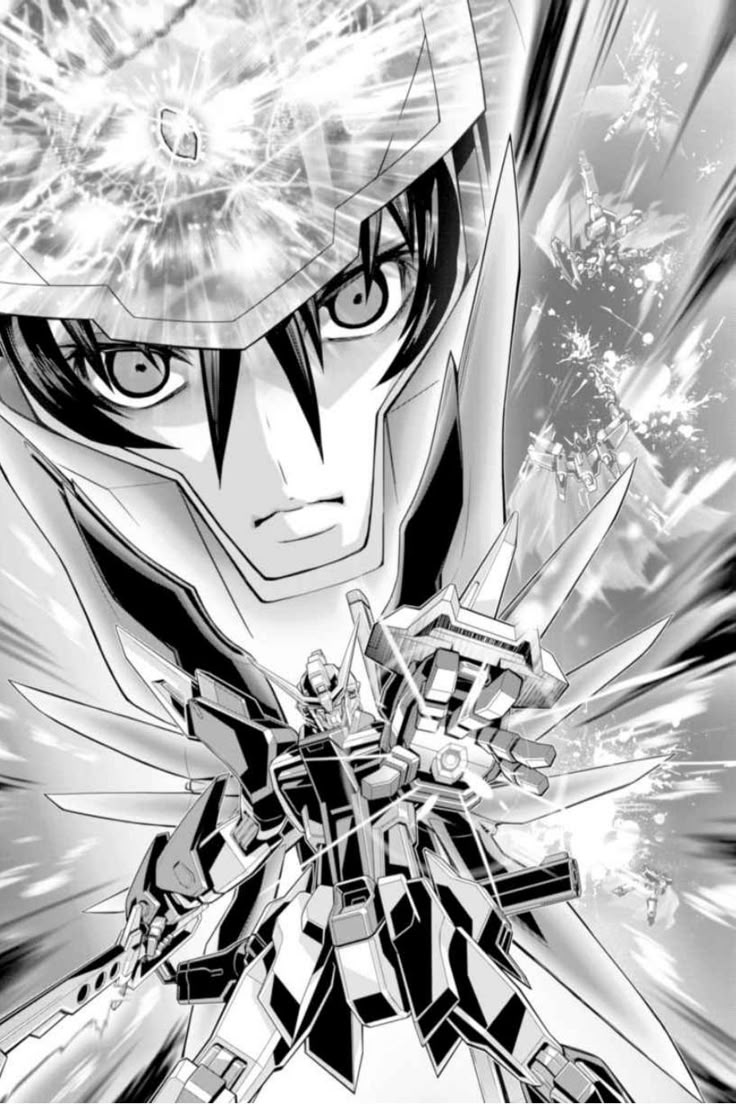 機動戦士ガンダムseed Freedom Robot De Combate