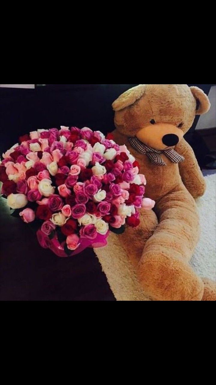 Pin By نازیہ صدیقی On Teddy Love Teddy Teddy Bear Day Teddy Day