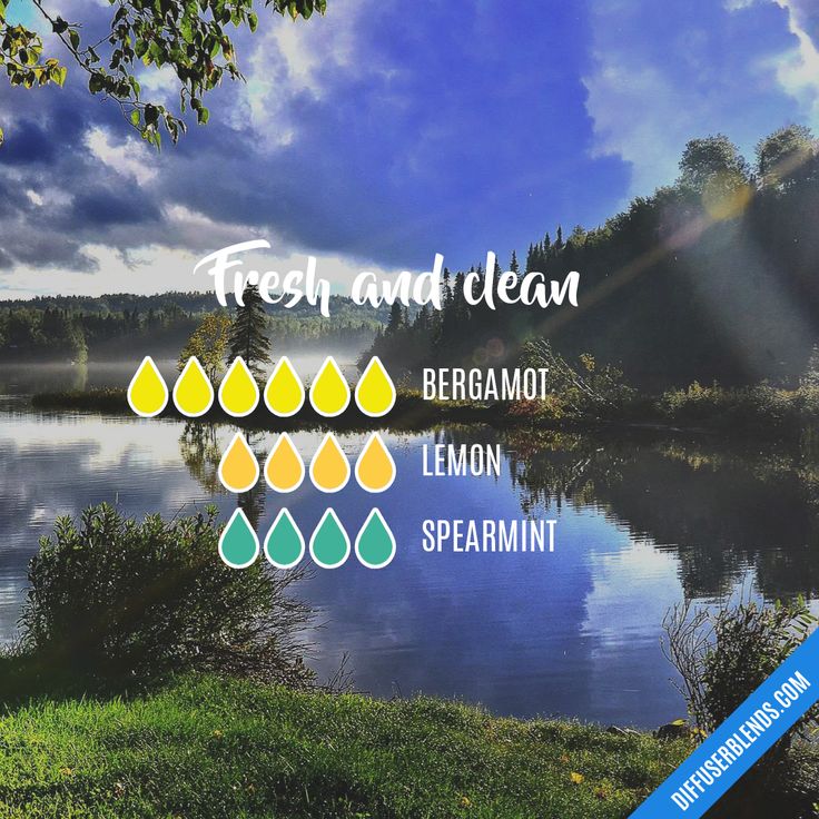 Blend Recipe 6 Drops Bergamot 4 Drops Lemon 4 Drops Spearmint
