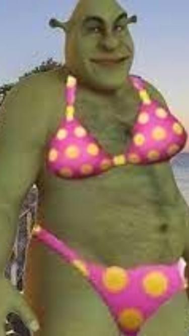Like Or Sub Shrek Aesthetic Cute Shrek Funny Goofy Pictures