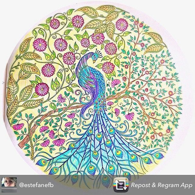 Peacock Secret Garden Pavāo Jardim Secreto Johanna Basford