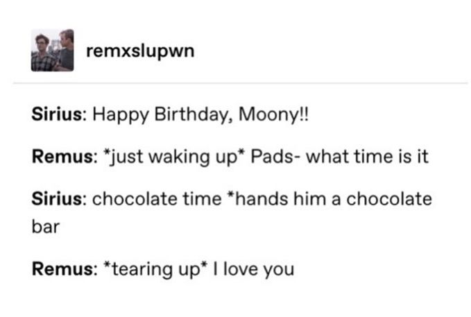 Pin On Harry Potter Stuff Harry Potter Marauders Harry Potter Headcannons Gay Harry Potter