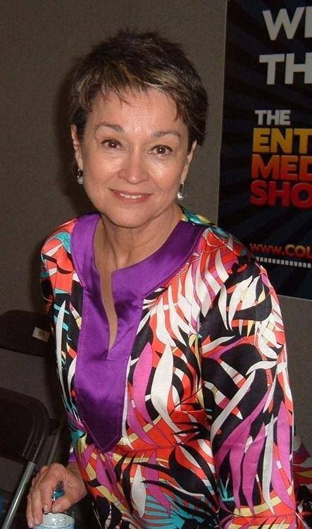 Janet Fielding Doctor Who Assistants Doctor Who Companions Doctor Who
