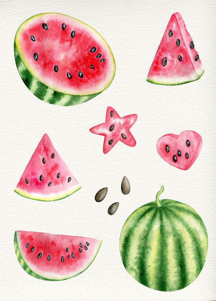 Watercolor Watermelon Clipart Set Summer Juicy Watermelons Etsy