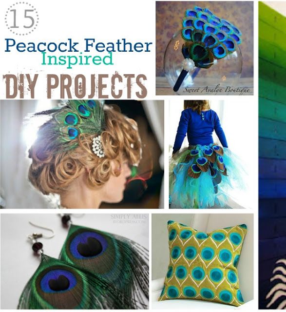 15 Make Peacock Feather Diy Projects Ideas Craftionary Feather Diy Feather Crafts