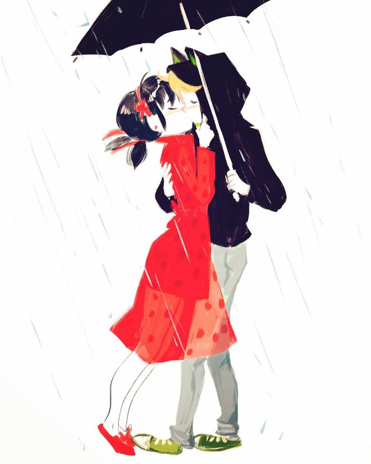 Lisa 🌱 On Twitter Miraculous Ladybug Comic Miraculous Ladybug Anime Miraclous Ladybug