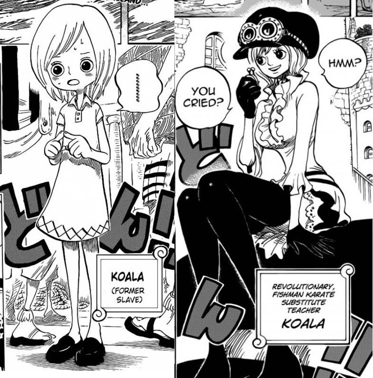 Pin By T On One Piece Koala One Piece One Piece Crew One Piece