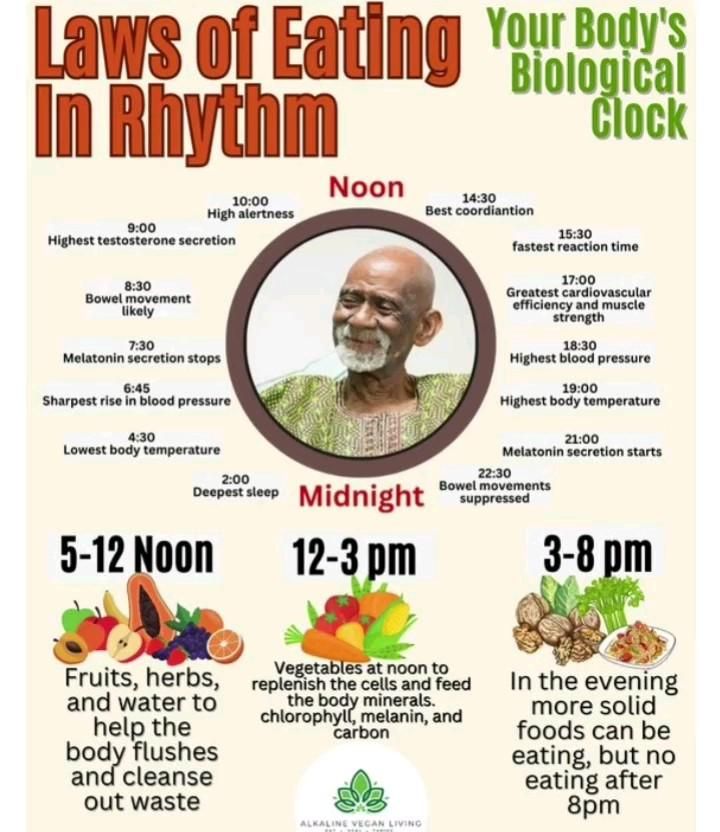Eating In Rhythm Dr Sebi In 2024 Dr Sebi Recipes Alkaline Diet Dr