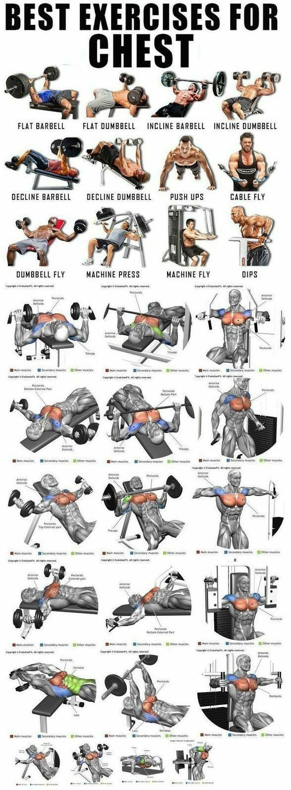 Chest workout | Sport musculation, Exercice, Musculation Chest workout | Sport musculation, Exercice, Musculation