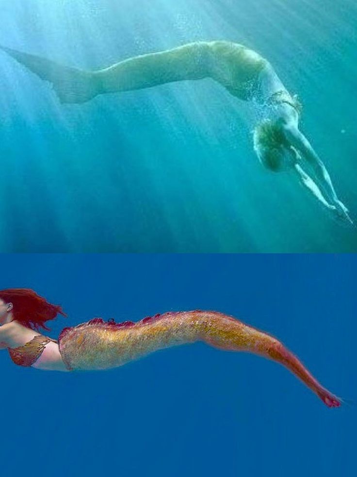 Pin By Sean Halliwell On Mako Mermaids H2o Mermaid Tails H2o Mermaids Mako Mermaids