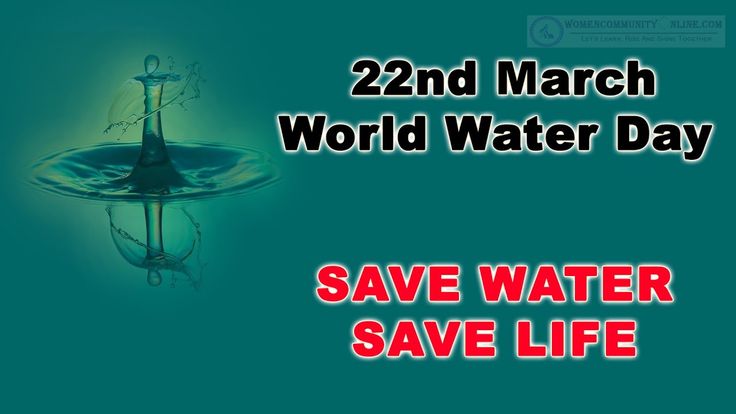 A Water Drop With The Words Save Water Save Life