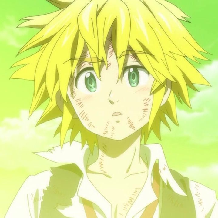 Pin De Julcimara Rosa Rosa En Meliodas X Elizabeth Gatos Bonitos Anime 7 Pecados Capitales
