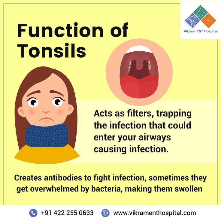 The Importance Of Tonsils In The Human Body