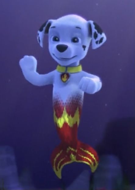 Marshall Merpup Marshall Paw Patrol Paw Patrol Pups Paw Patrol