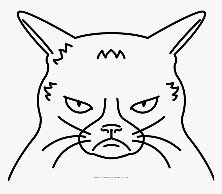 Grumpy Cat Face Drawing